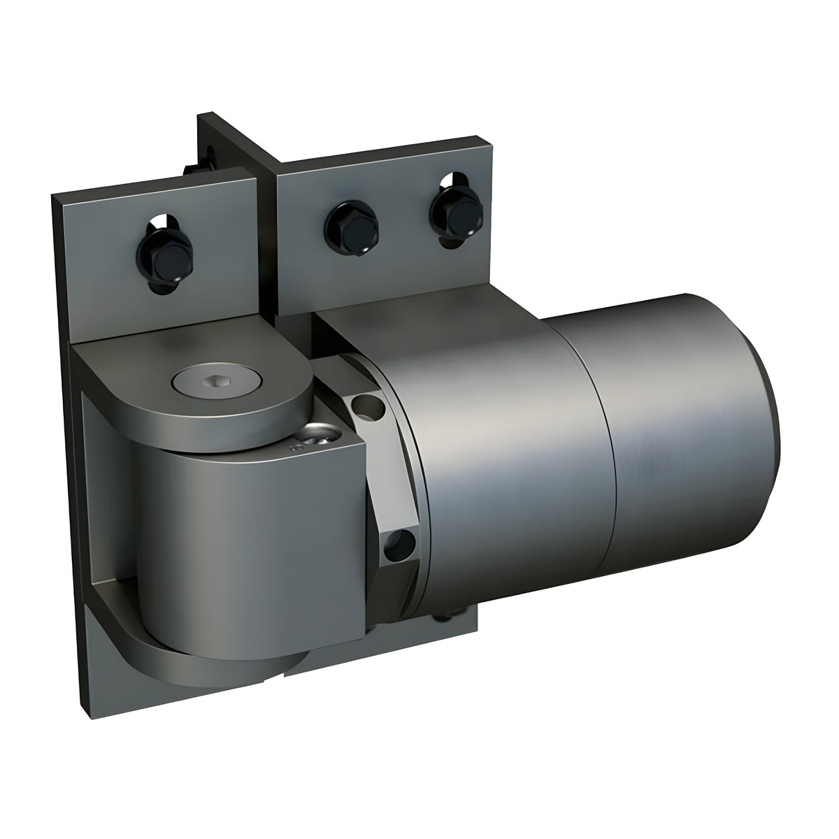 D&D 74108323T SURECLOSE Gate Hinge & Closer | Elitegates.net – Elite Gates